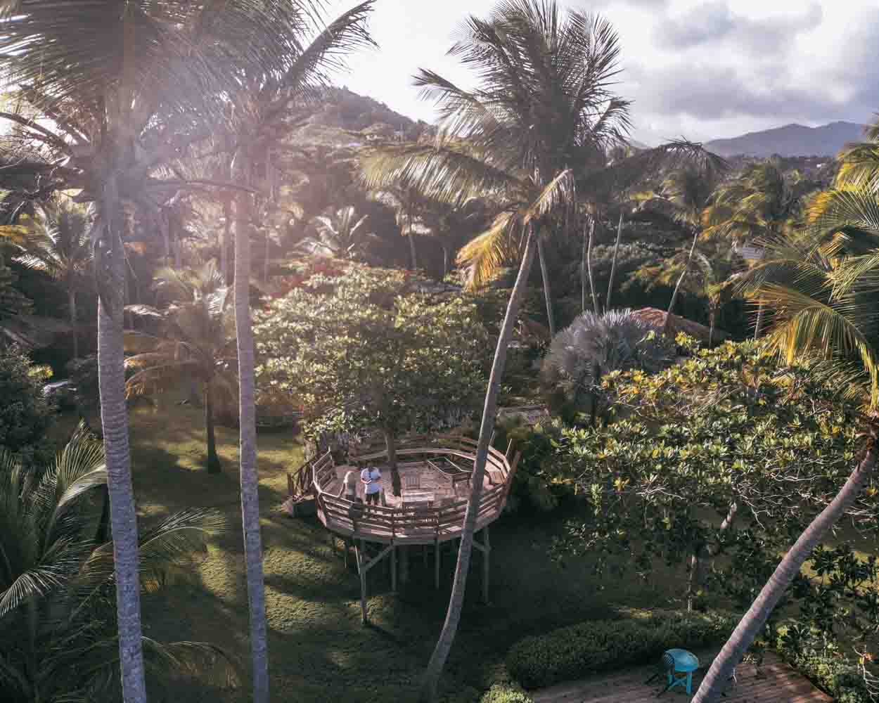 5 Star House Sitting Rating: 5 Quick Tips | 2024