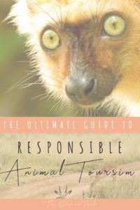 Animal Tourism: What You Need To Know | 2026