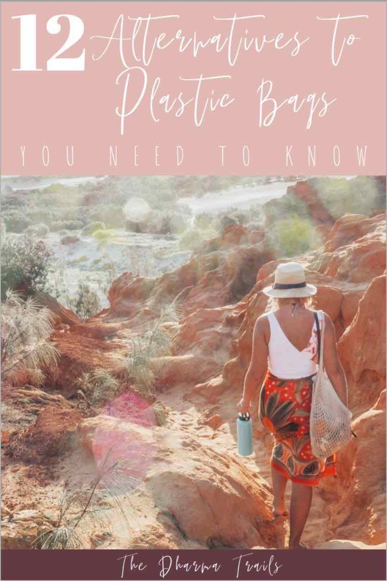 The Best Alternative To Plastic Bags For Food, Trash & Travel | 2024