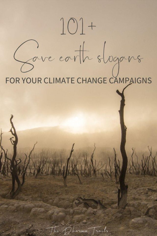 101 Save Earth Slogans, Quotes and Posters | 2024