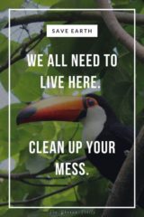 101 Save Earth Slogans, Quotes And Posters | 2024