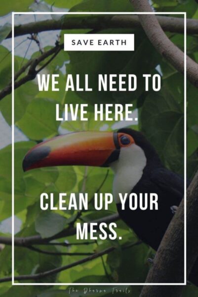 101 Save Earth Slogans, Quotes And Posters | 2024
