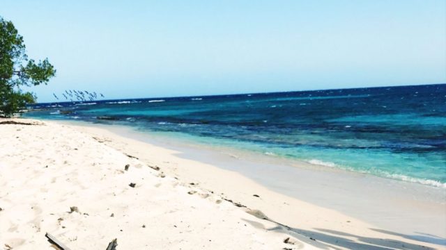 8 Best Beaches In Jamaica: The Hidden Gem Guide | 2024