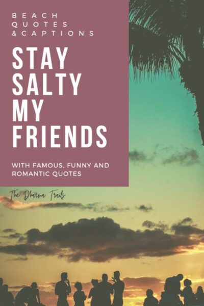 61 Best Beach Quotes And Captions For Swimspiration | 2024