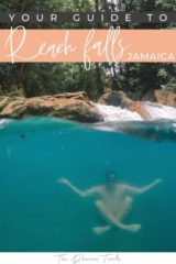 Visiting Reach Falls Jamaica: The Locals Guide