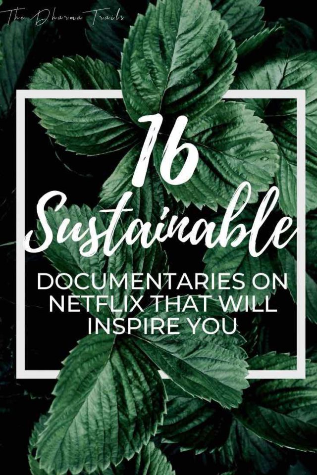 16 Best Sustainable Documentaries On Netflix