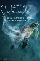 16 Best Sustainable Documentaries On Netflix