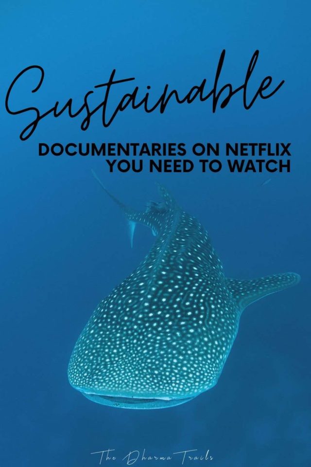 16 Best Sustainable Documentaries On Netflix