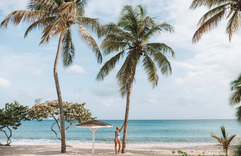 5 Best Beaches In Grenada, The Caribbean | 2024
