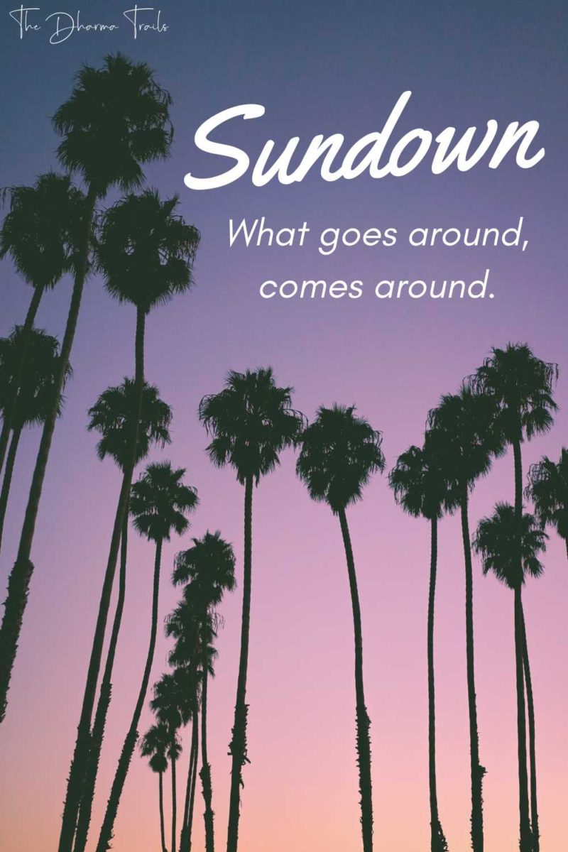101 Unique Sunset Captions & Quotes | 2025