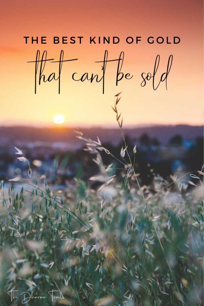 101 Unique Sunset Captions Ideas | 2024