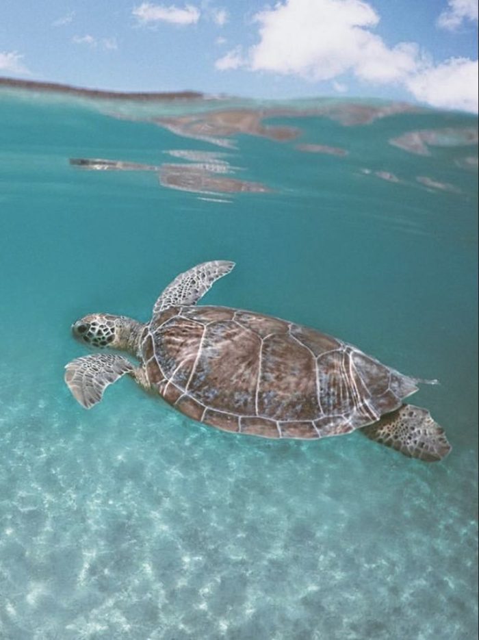 15 Best St John Beaches USVI | 2026